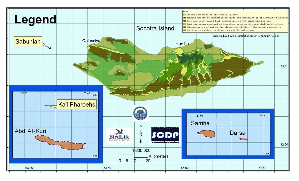 Botanists help Socotra bird studies | Centre for Middle Eastern Plants